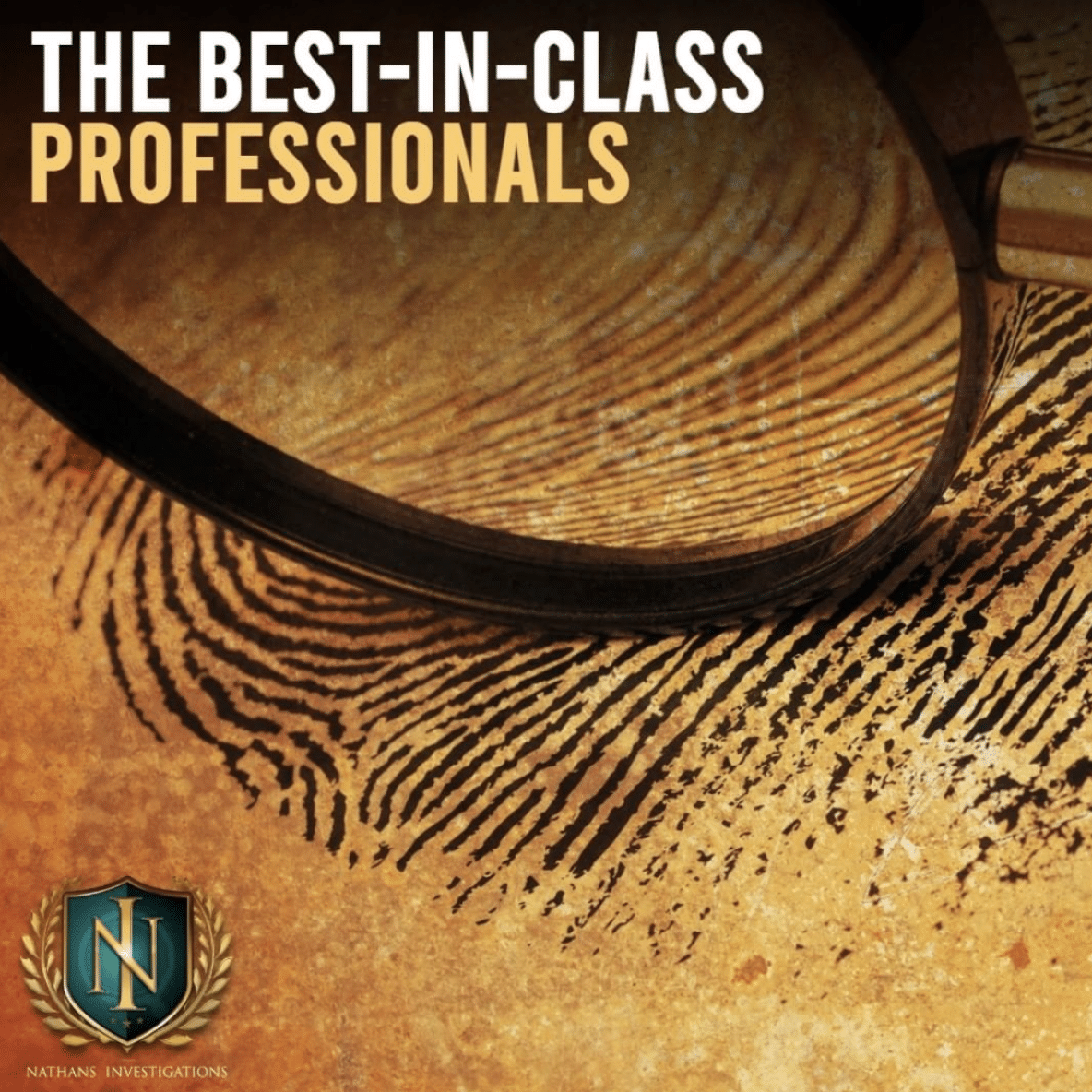 Best Florida Private Investigator | Nathans Investigations